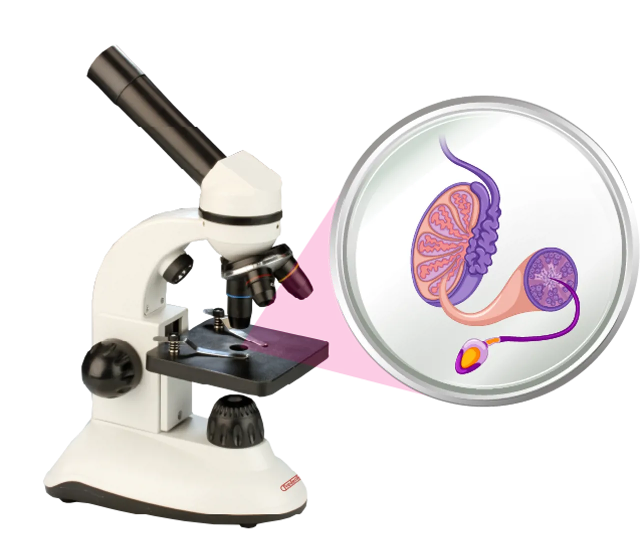 Hent undersøgelsesvejledning her