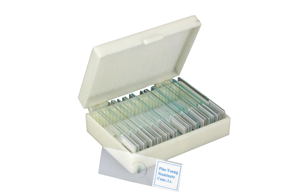 Preparaten set Botanie, 25 verschillende preparaten