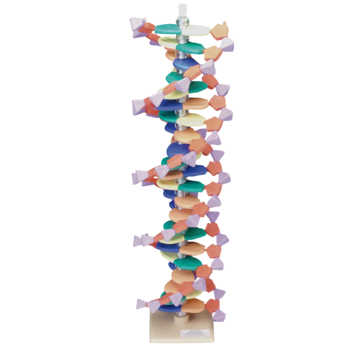 DNA-elektroforese til biologilokalet - Frederiksen Scientific.