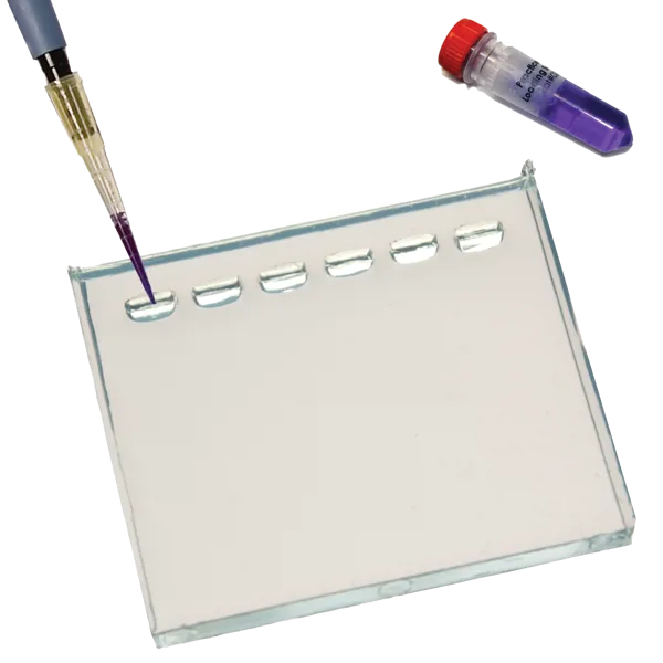 DNA-elektroforese til biologilokalet - Frederiksen Scientific.