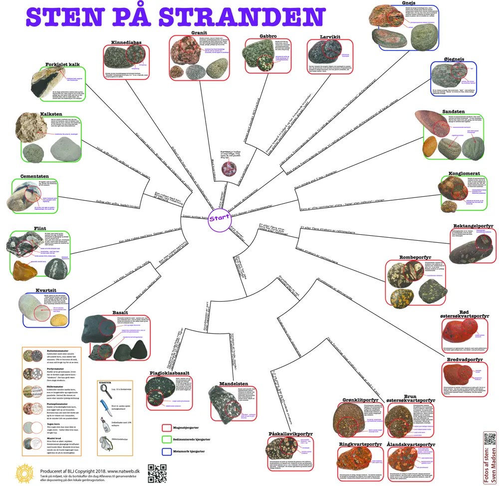 Bestemmelsesdug, Sten på Stranden - Frederiksen Scientific