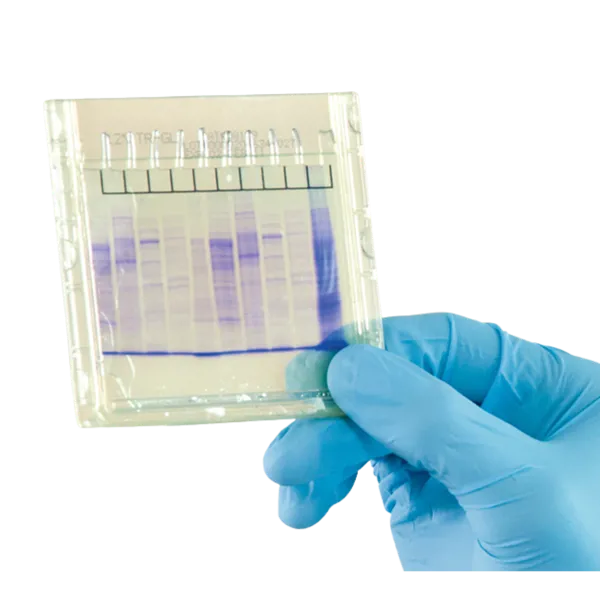 DNA-elektroforese til biologilokalet - Frederiksen Scientific.