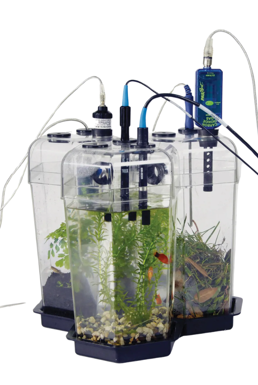 EcoZone System, 3 Kamre - Akvarier & Terrarier - Frederiksen Scientific
